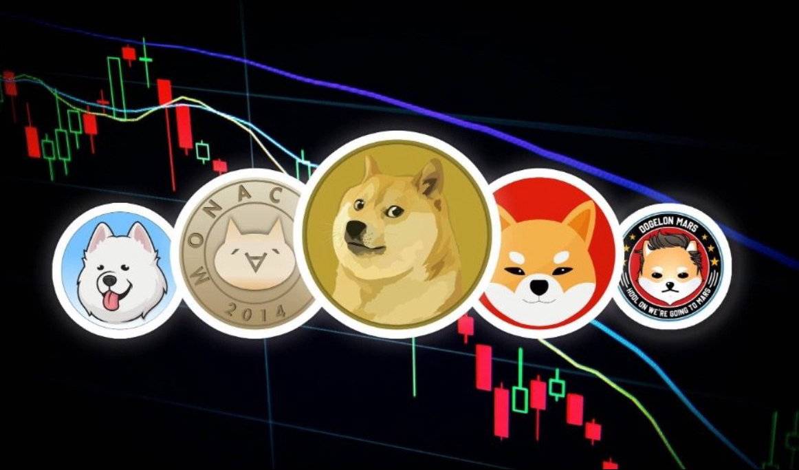 ᐈ What are shieldcoins - Bulldog Exchange