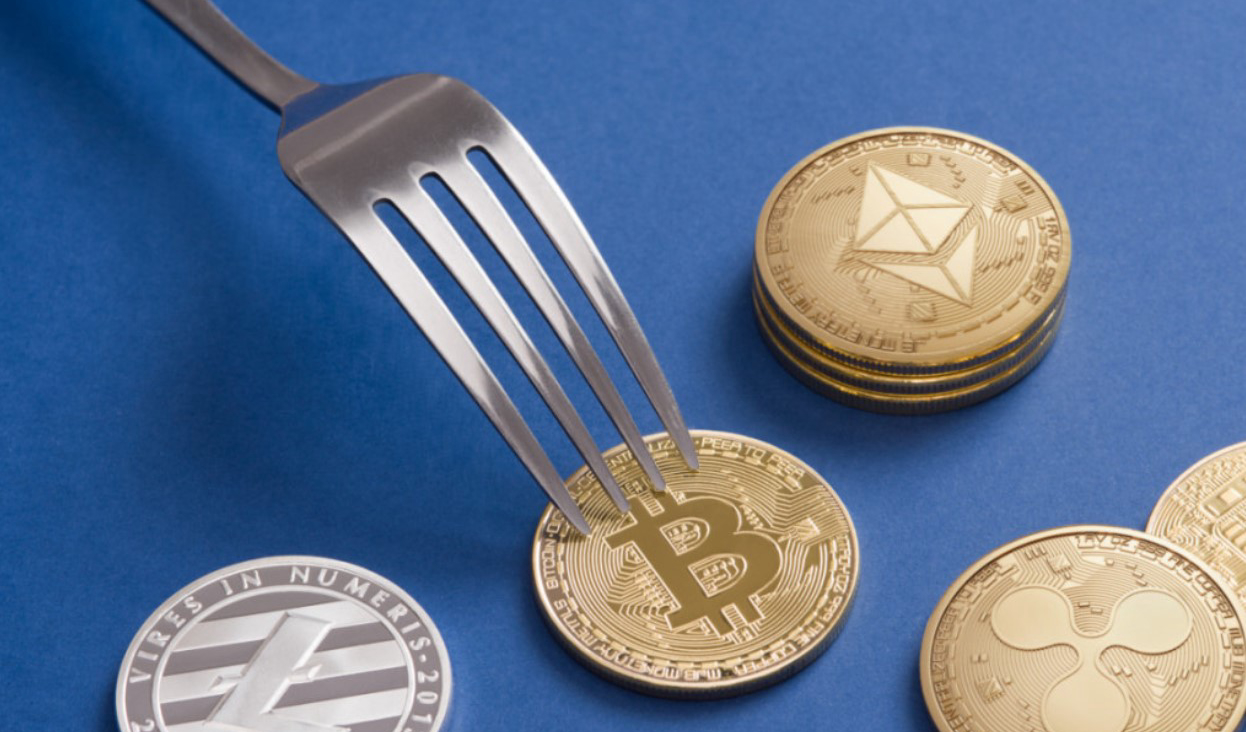 ᐈ What is Hardfork of cryptocurrencies? - Bulldog Exchange