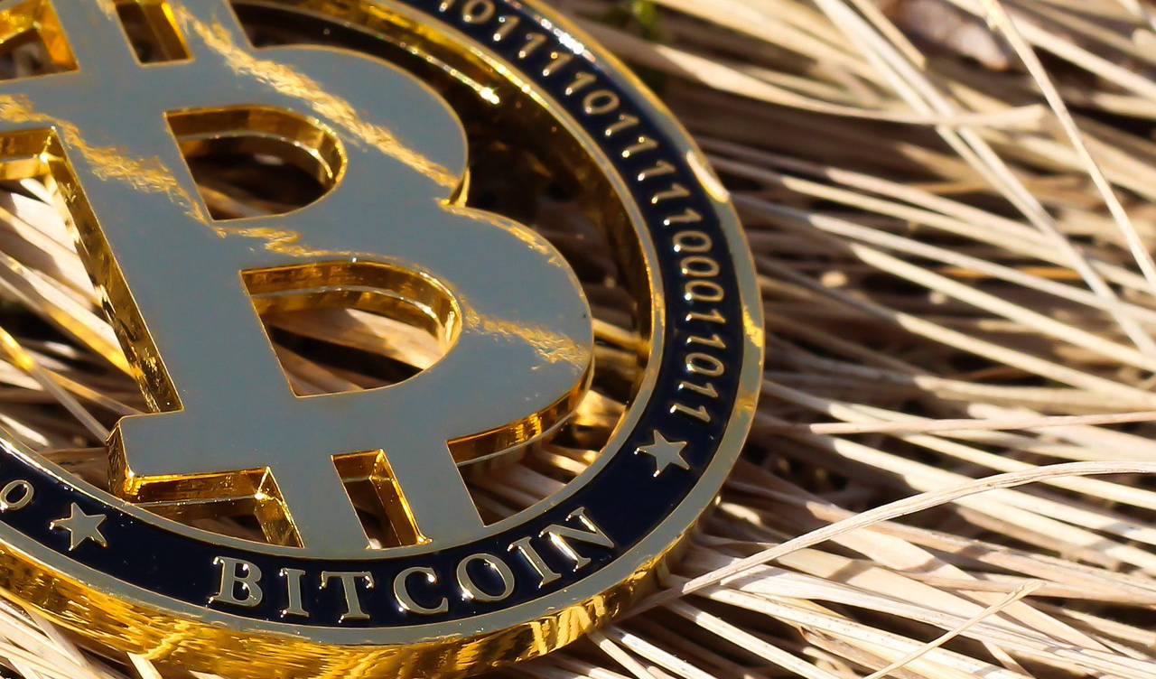 ᐈ Bitcoin: Overview and How it works - Bulldog Exchange